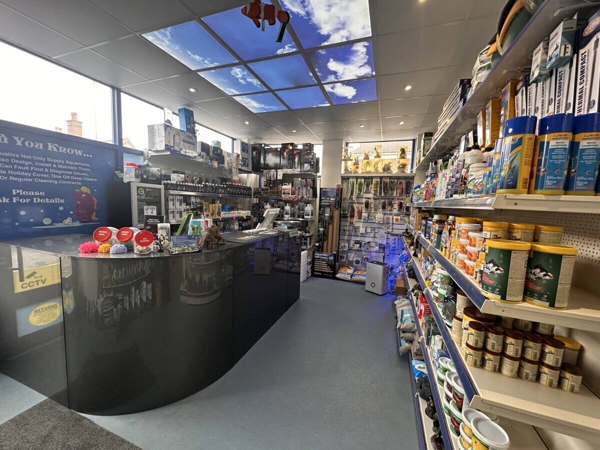 Top-rated Independent Pet Store Specialising in Marine, Tropical Fish ...