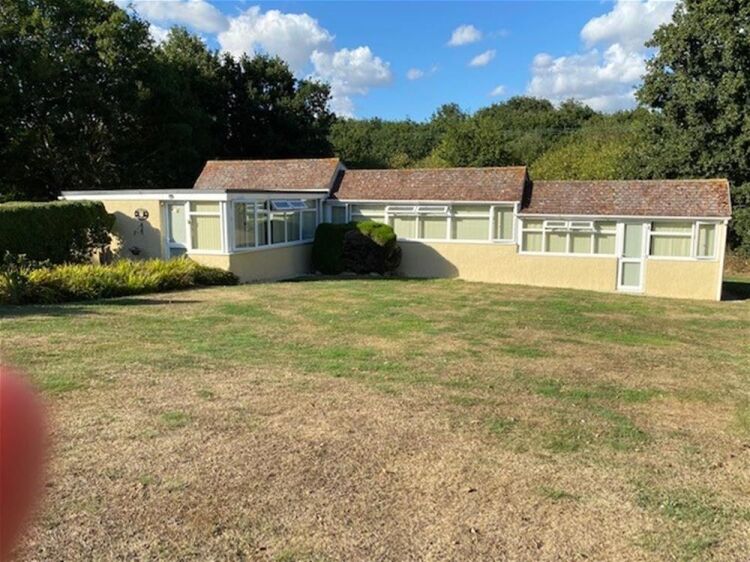 Top-rated 5* Essex cattery business with 42-cat license and 4-bed ...