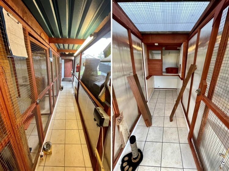 79 Kennels & Cattery Businesses For Sale on the UK's No.1 Marketplace ...
