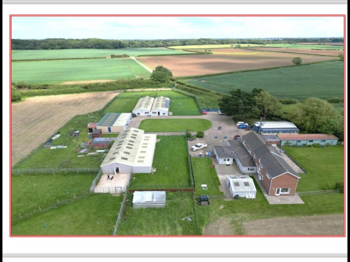 Kennels and cattery for sale in Kingston Upon Hull with 68 kennels and ...